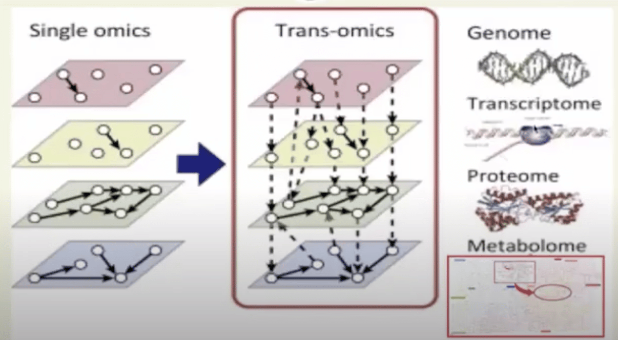 The Translational Utility of Metabolomics in the Integrative Omics Era ...