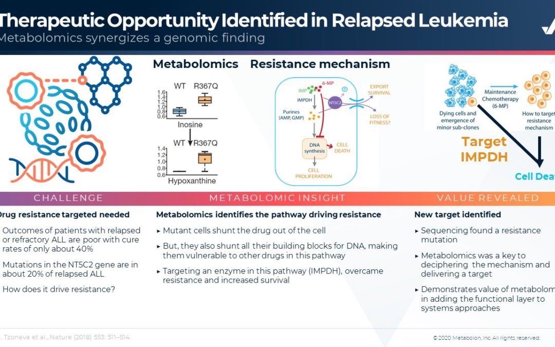 Therapeutic Opportunity Identified in Relapsed Leukemia - Metabolon