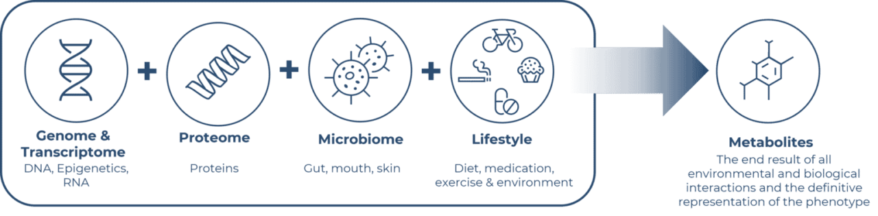 Su guía de metabolómica-Metabolómica, metabolitos y el metaboloma ...
