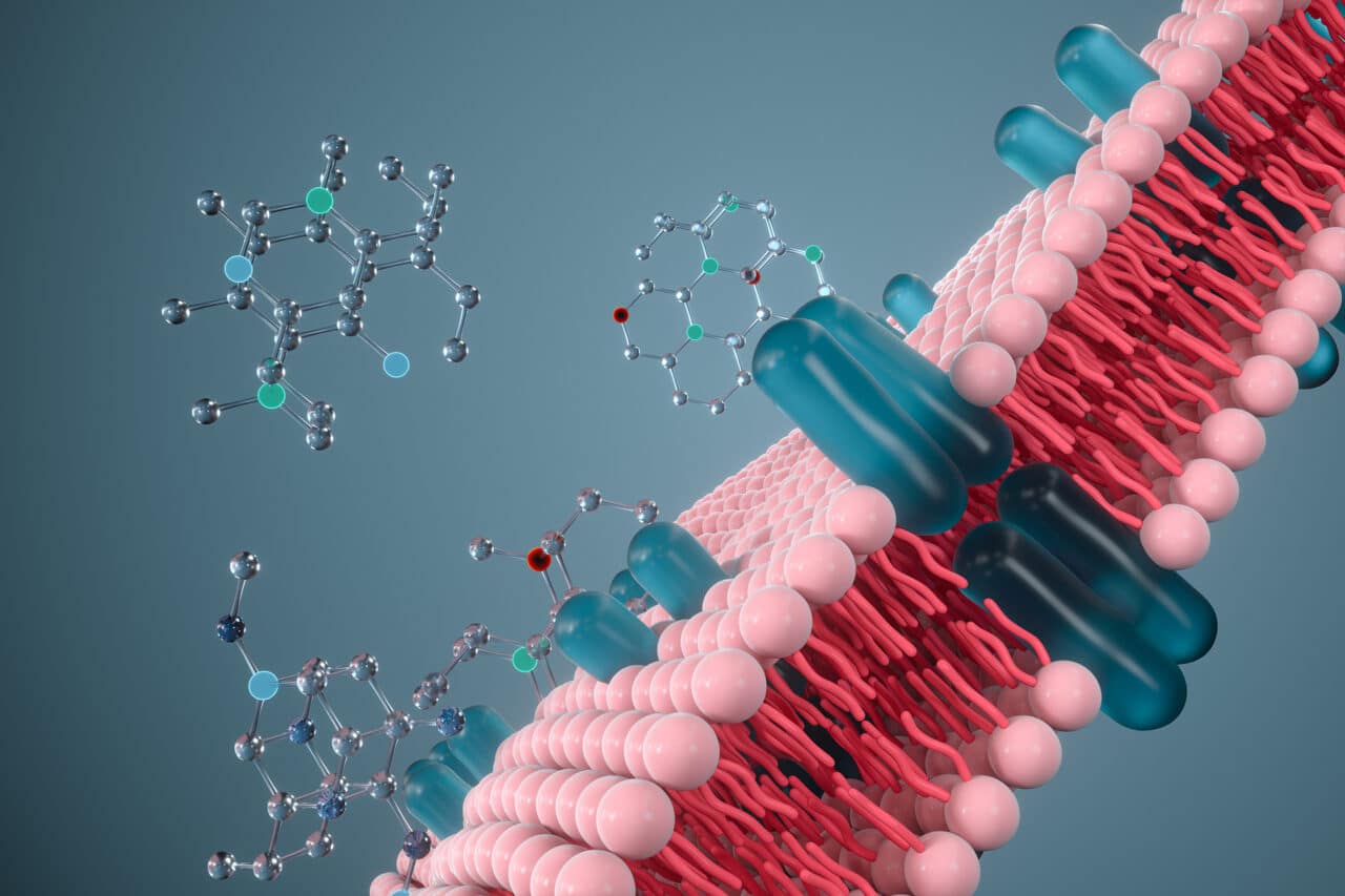 Product Spotlight: Complex Lipids Targeted Panel | Metabolon