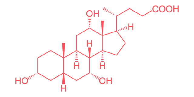 Cholic Acid | Metabolon