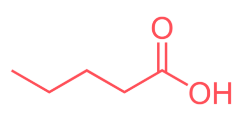 Valeric Acid | Metabolon