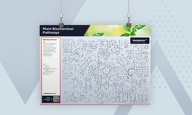 Download The Plant Biochemical Pathways Poster | Metabolon
