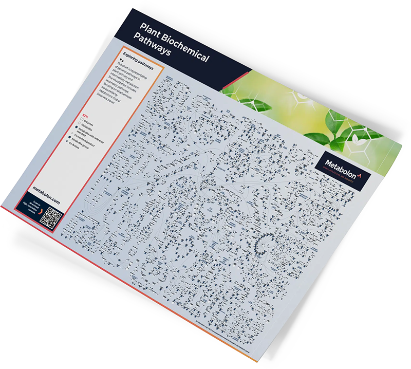 Download The Plant Biochemical Pathways Poster | Metabolon