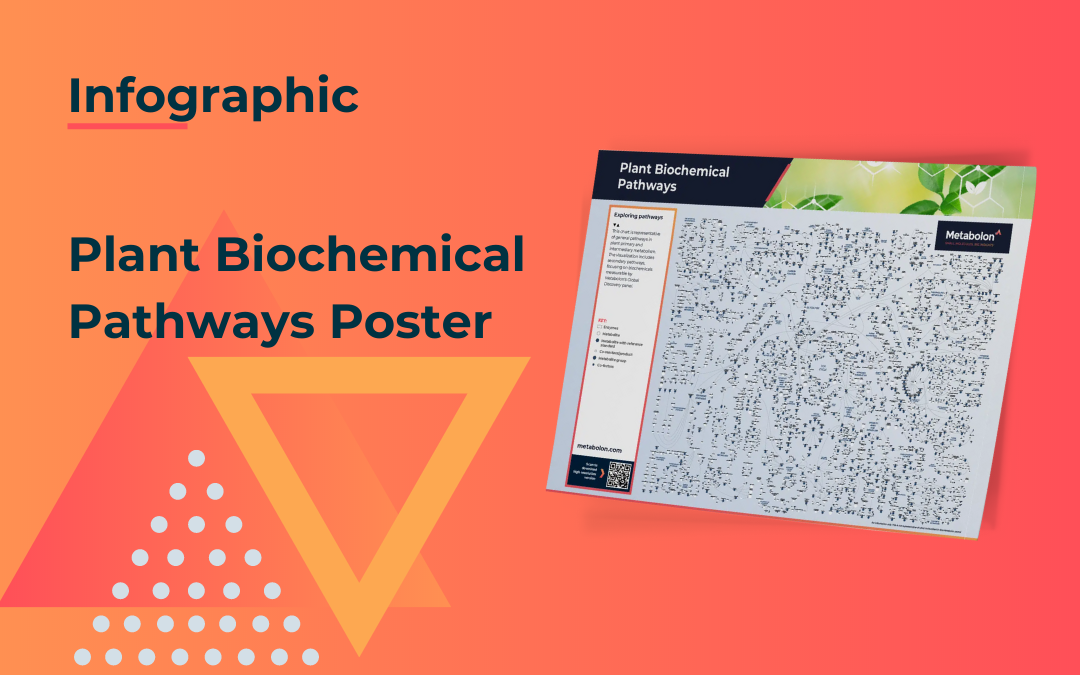 Download The Plant Biochemical Pathways Poster | Metabolon