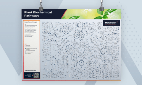 Download The Plant Biochemical Pathways Poster | Metabolon