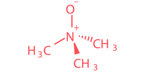 Óxido de trimetilamina | Metabolon