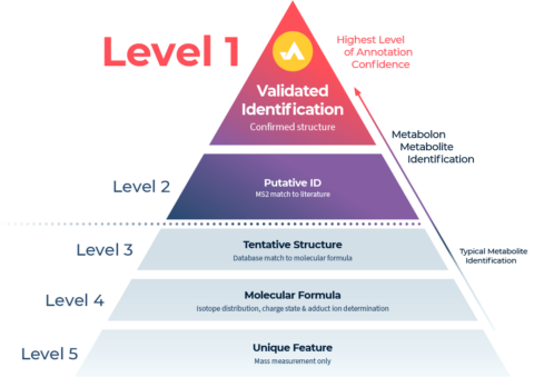 Metabolon – Small Molecules, Big Insights
