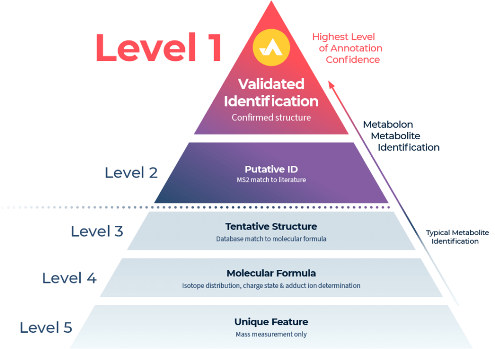 Metabolon – Small Molecules, Big Insights