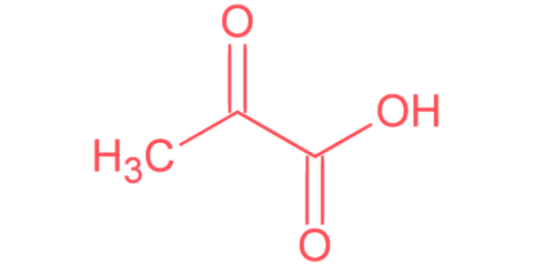 Pyruvic Acid | Metabolon