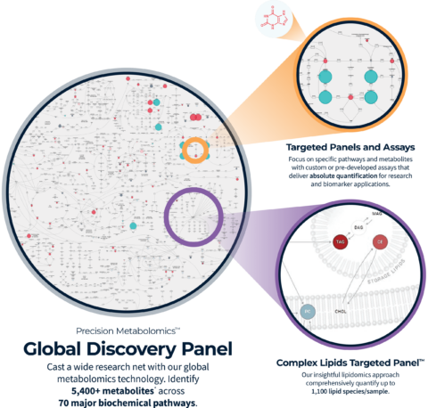 Targeted vs Untargeted Metabolomics | Metabolon