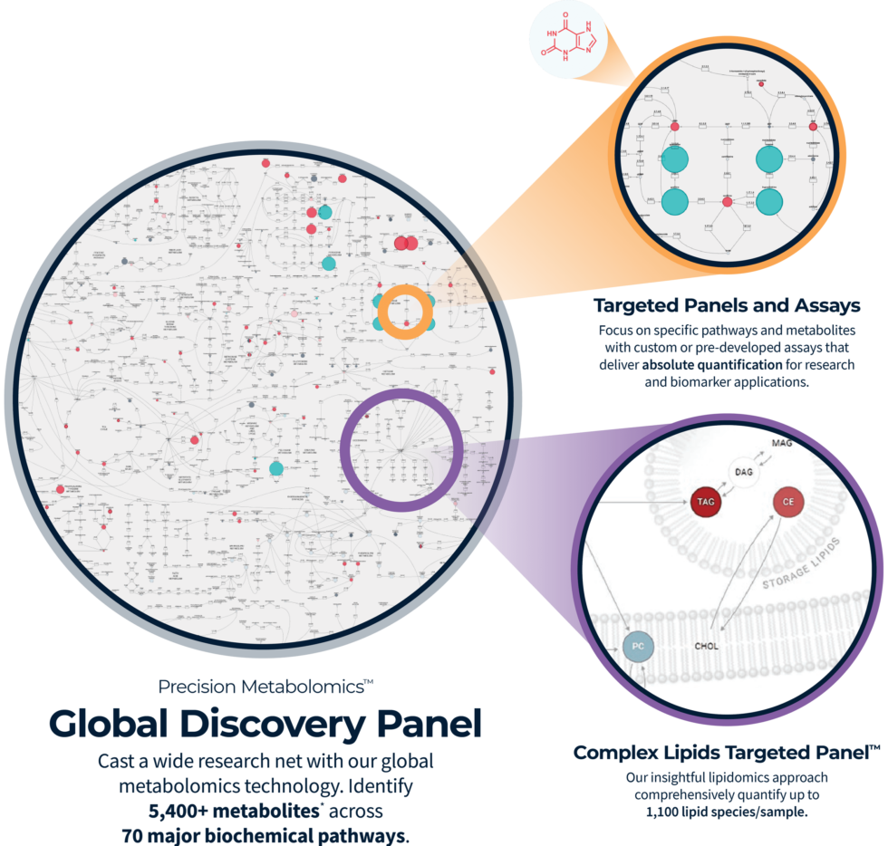 Targeted vs Untargeted Metabolomics | Metabolon