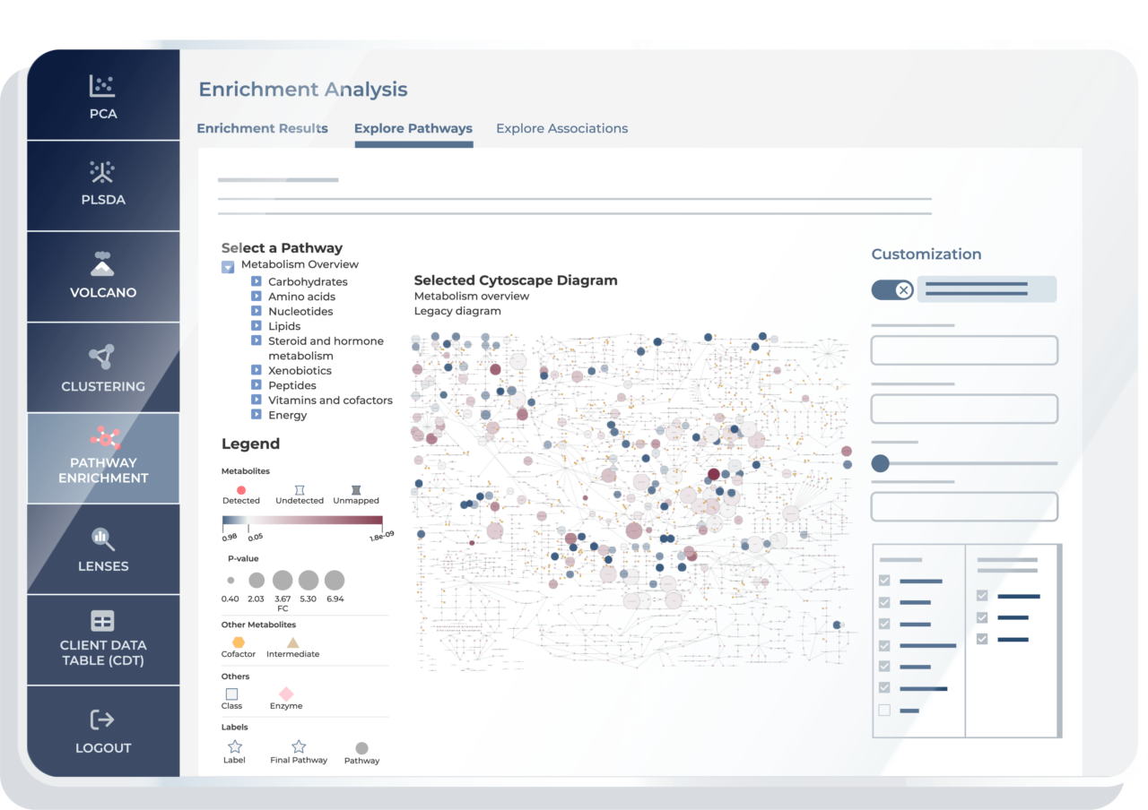 Pathway Analysis | Metabolon