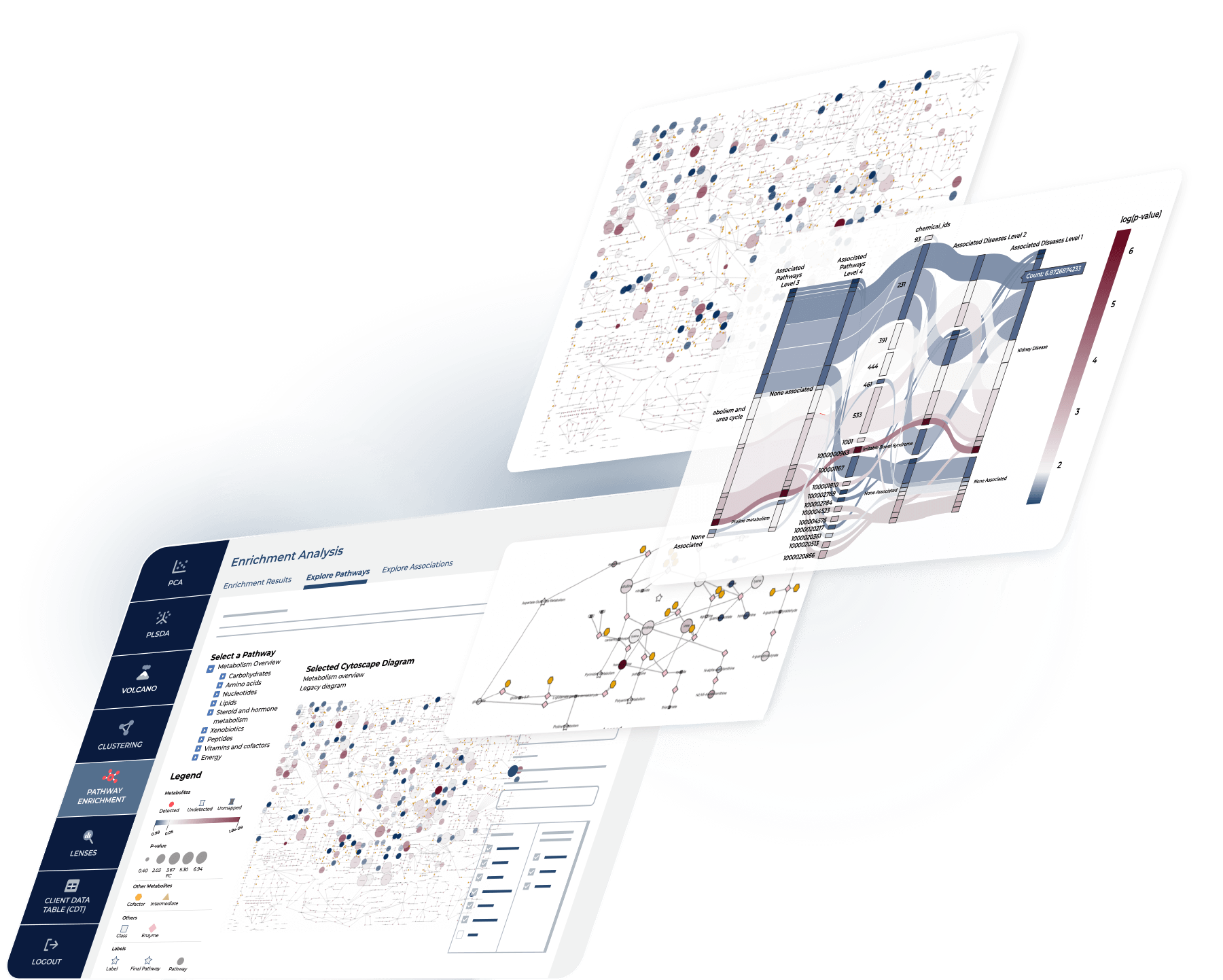 Bioinformatics | Metabolon