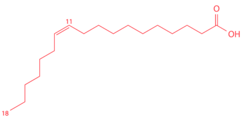 Vaccenic acid | Metabolon